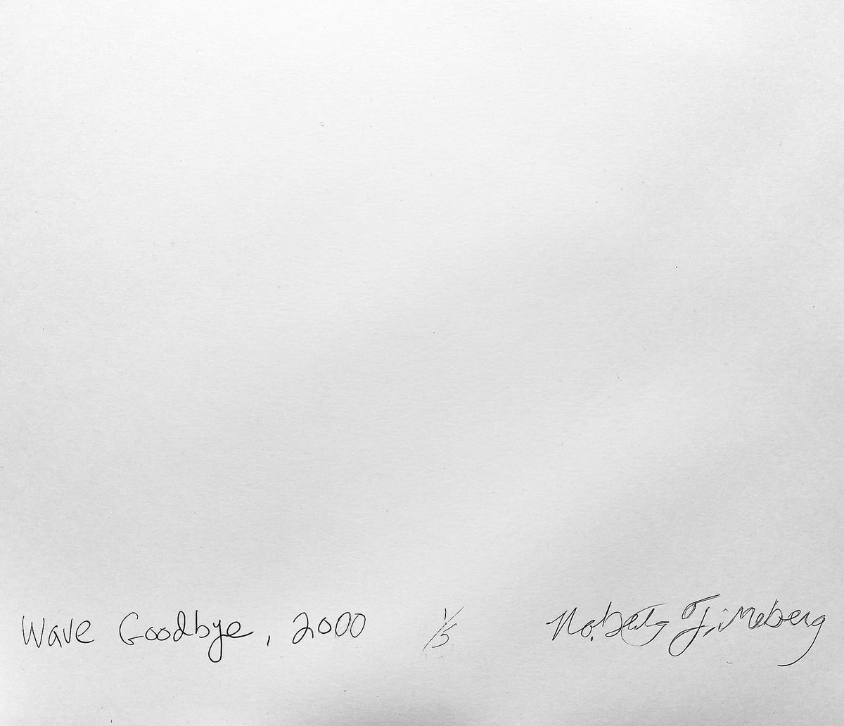 Wave Goodbye by RF, B & W Photo from the Staten Island Ferry – 99Prints NYC